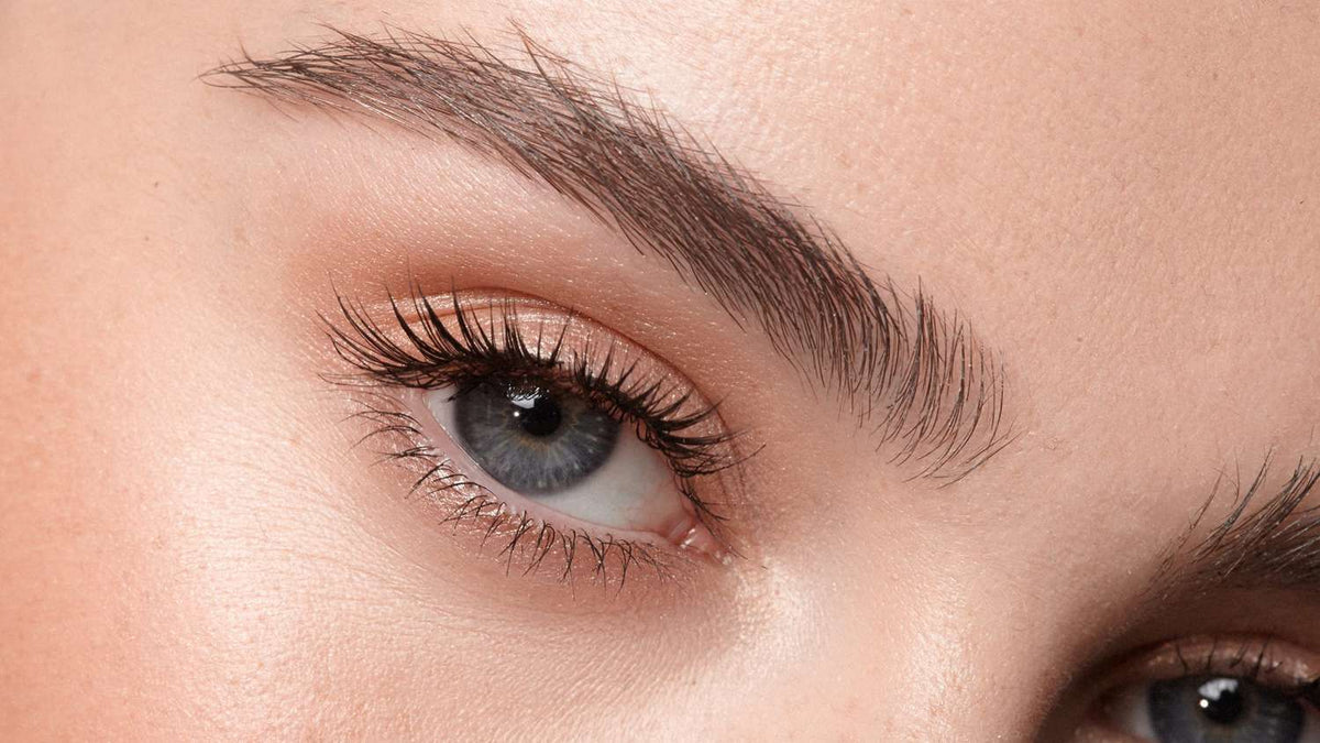 Brows | Fox and Superfine