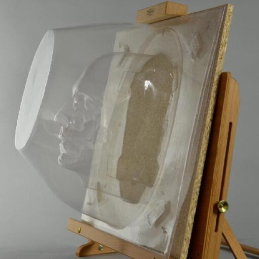 Face Armature Set | Fox and Superfine