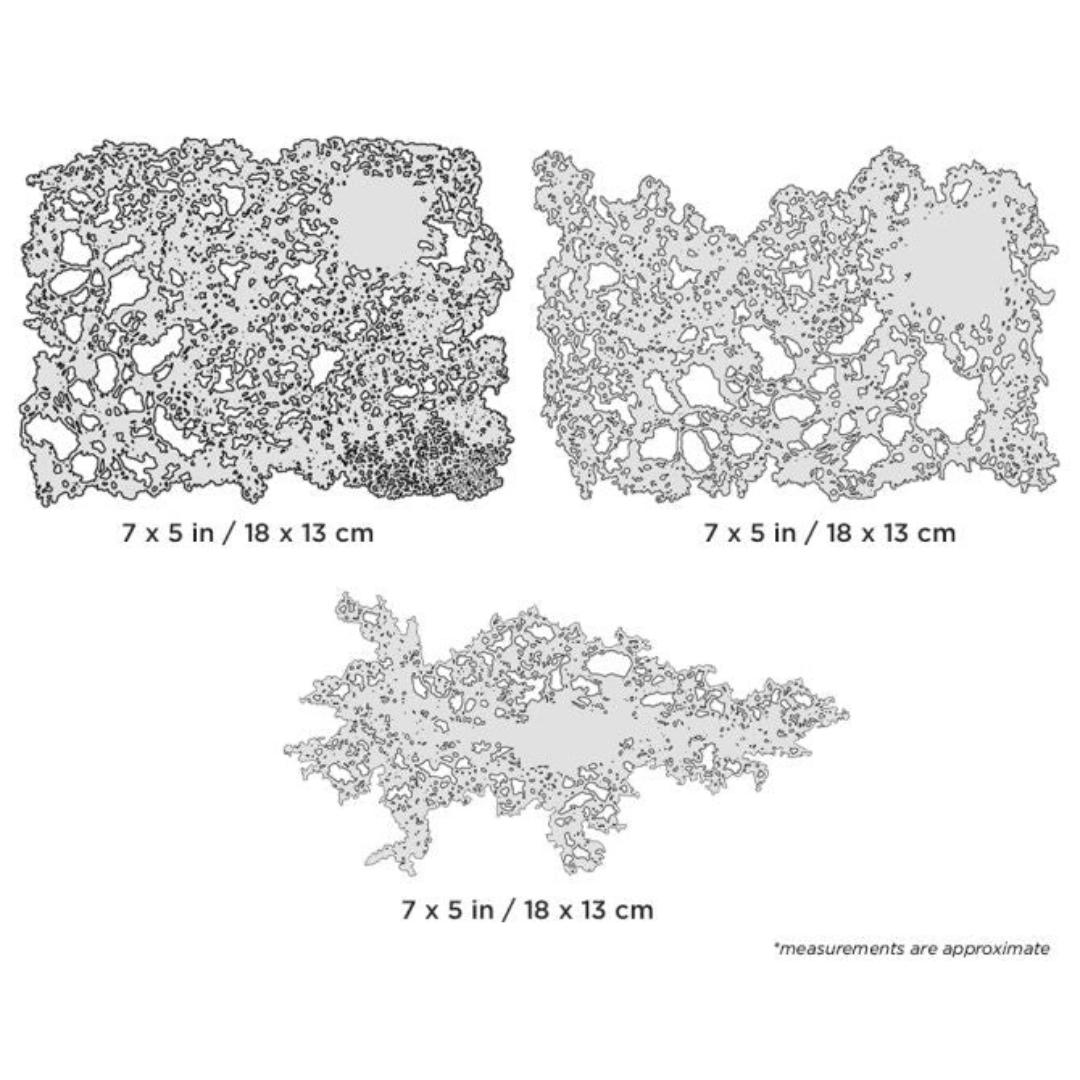 Artool Texture FX Mini Series Set Freehand Airbrush Template– Fox and ...